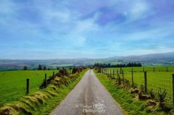 Walks in the Cookstown district. | Cookstown District Guide