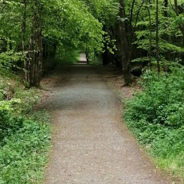 | Cookstown District Guide