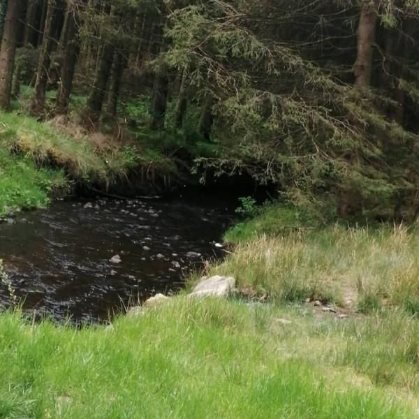 Cookstown District Guide cookstown-district-guide