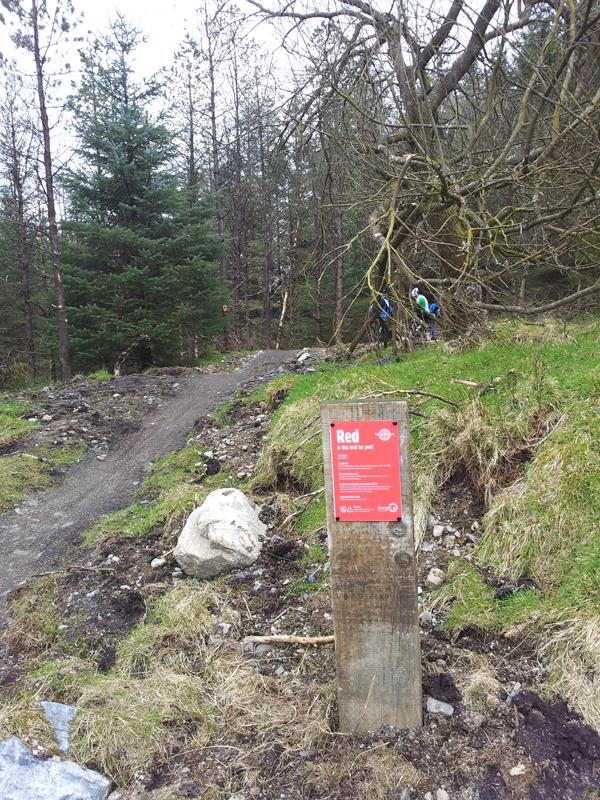 New 400000 biking trails for Davagh Forest | Cookstown District Guide